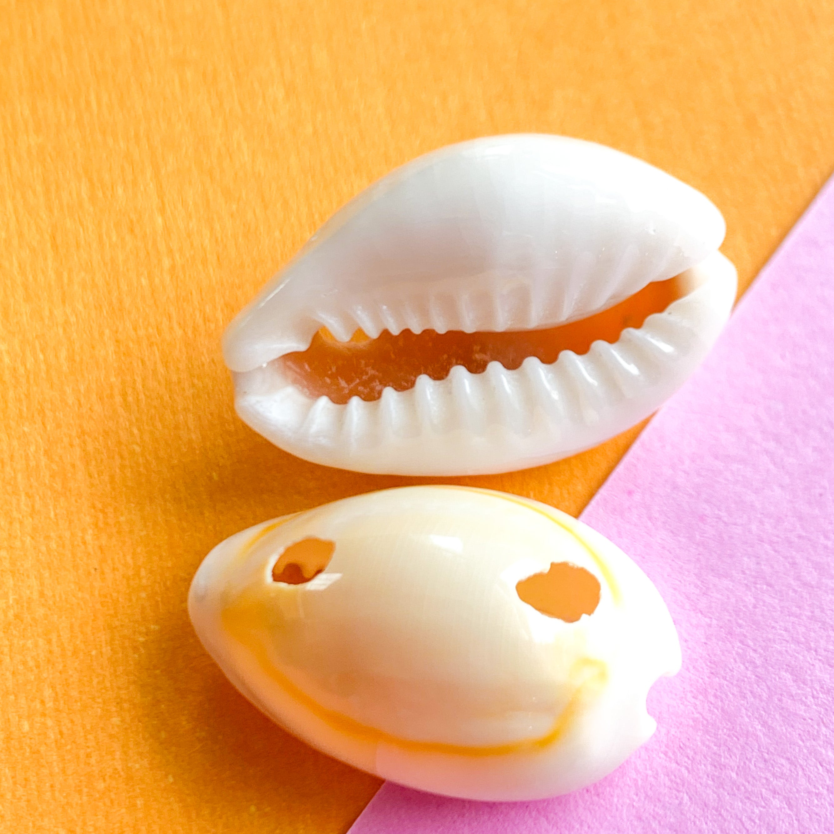 21mm Orange Cowrie Shells - Pack of 10 – Beads, Inc.