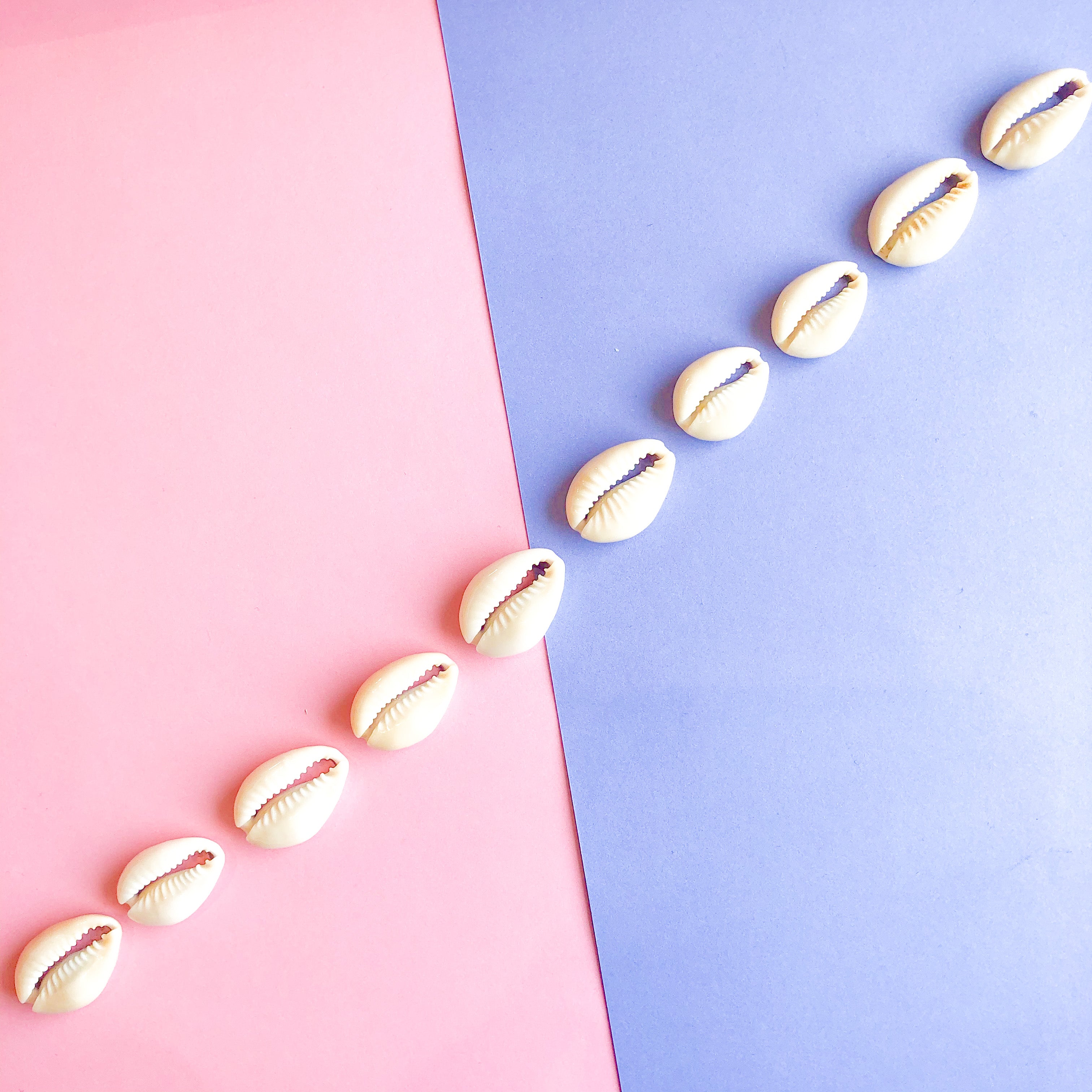 21mm Backless Natural Cowrie Shell - 10 Pack – Beads, Inc.